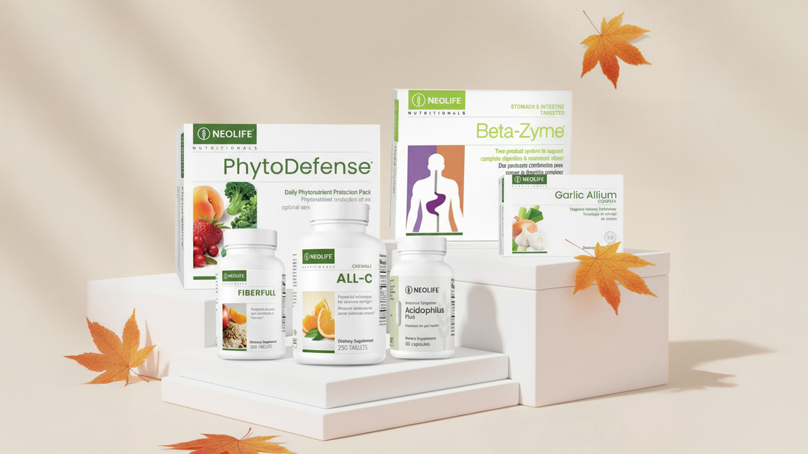 Bright, Balanced, and Holiday-Ready: Your Seasonal Wellness Guide ...